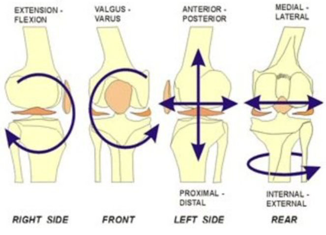 The Journey II Total Knee System: A Step Ahead - An Evolutionary New Design