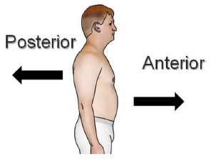 The Anterior Approach to Total Hip Replacement